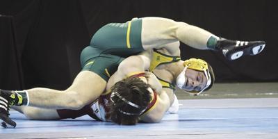 Emerine leads Highlander quintet to state finals | Sports ...