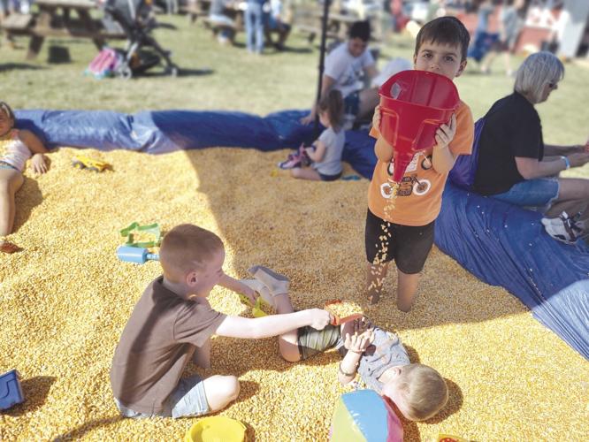 Schwartz Family Restaurant welcomes fall with music festival | Features ...