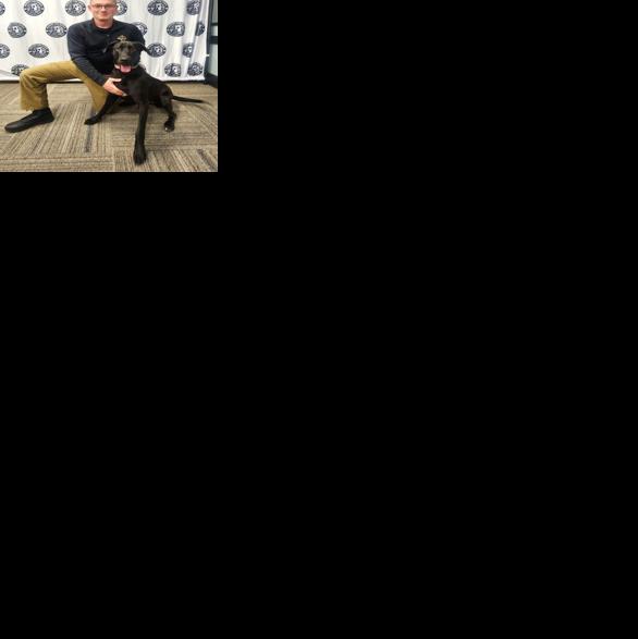 New K9 for Jennings County Sheriff's Office | North Vernon ...