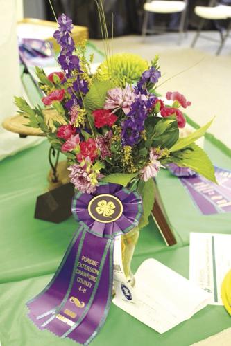 4-H Fair sees 58 projects advance to Indiana State Fair | Features ...