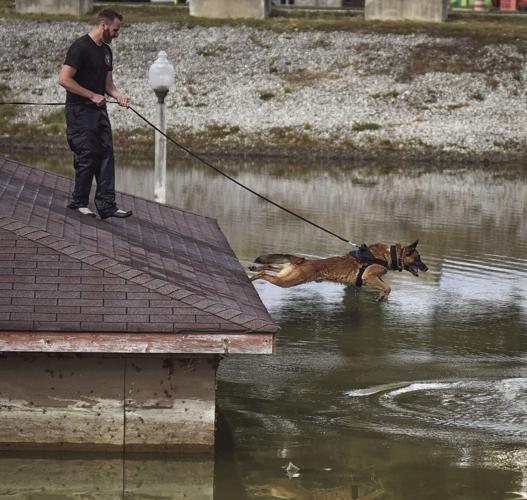 ATK9 holds annual K-9 training at Muscatatuck Urban Training Center ...