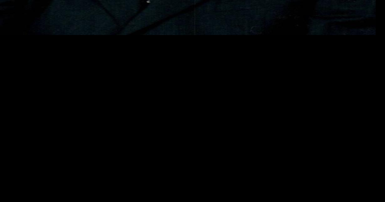 Donald L. Davis | Corydon Democrat | madisoncourier.com