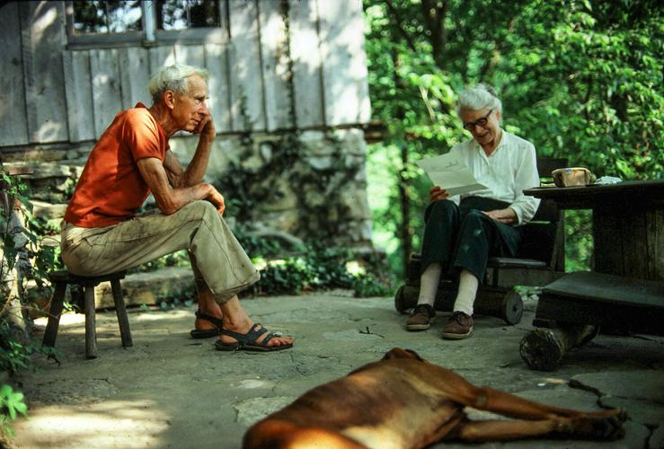 Organization to protect, preserve Payne Hollow | Trimble Banner ...