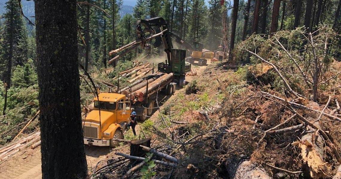 After logger’s death, OSHA fines an Idaho timber company for a ‘serious ...