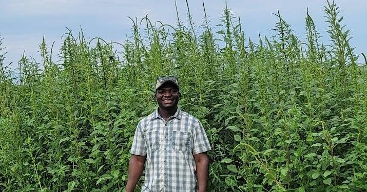 U of I weed scientist concerned about the rapid spread of new weeds in ...
