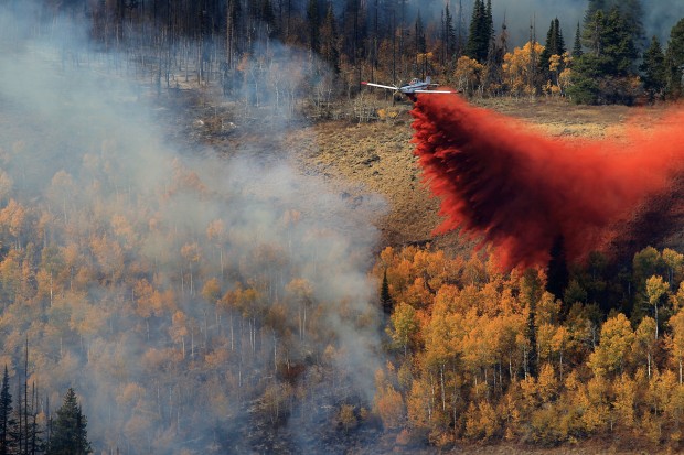 Thompson Creek Fire Spreads to 650 Acres