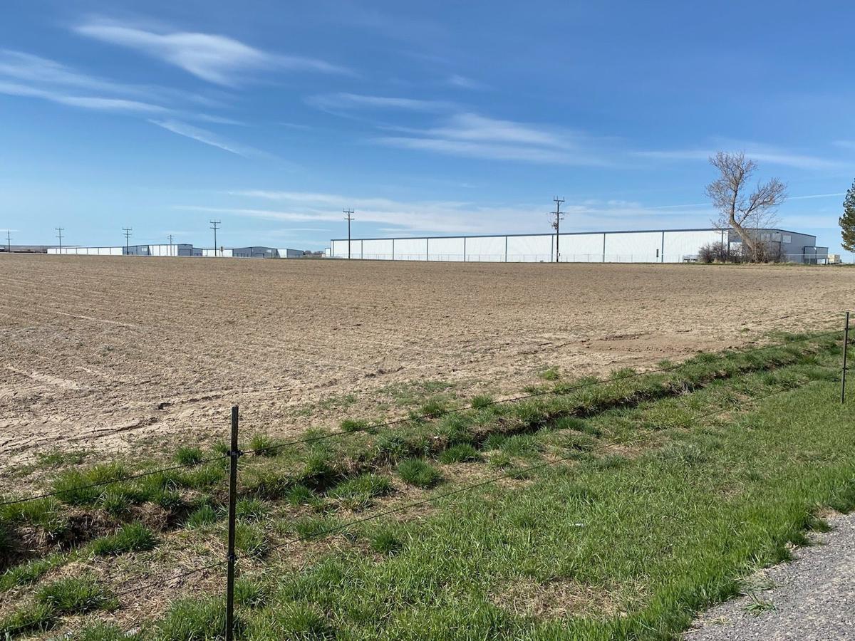 Curious Mind: Keeping bees cold locally to help hibernation