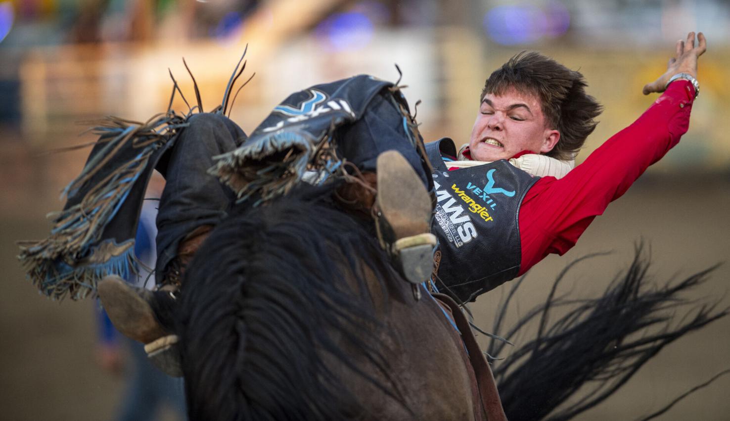 Ty Harris juggles career and "'Let's Freakin' Rodeo" podcast