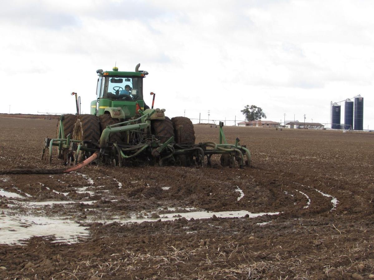 Research Shows new Options for Manure Management
