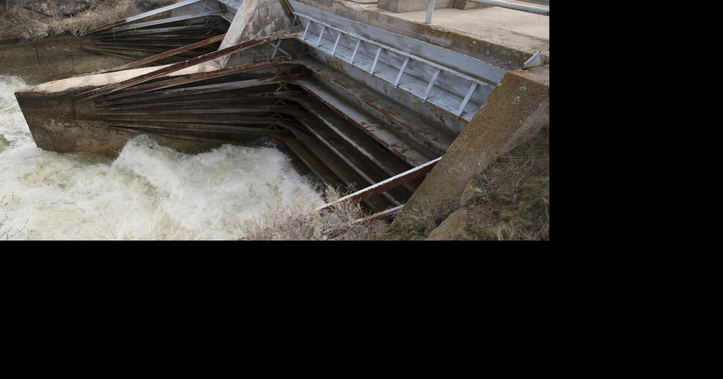 Water curtailment order lifted for eastern Idaho farmers