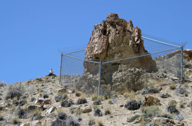 Gallery: Meet Malm Gulch - Idaho's Petrified Sequoia Forest