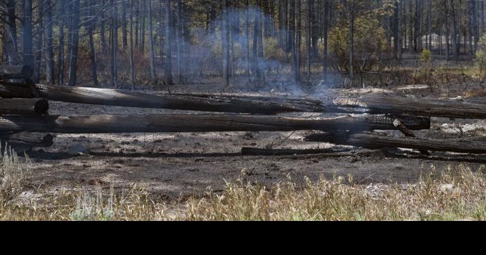 10 A.M. UPDATE: 210 Road Fire 70 Percent Contained near Redfish Lake