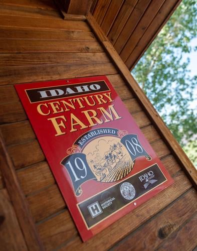 Buhl farm reaches 100-year milestone