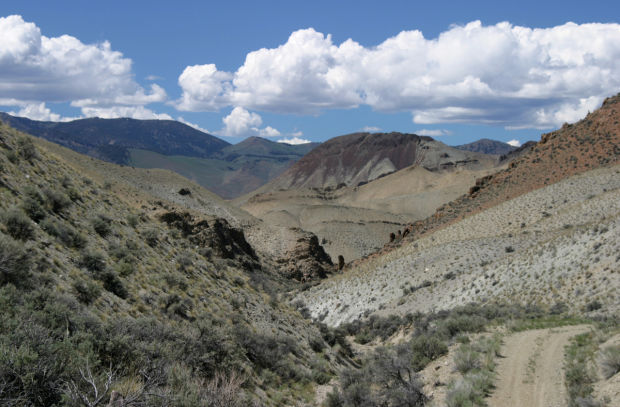 Gallery: Meet Malm Gulch - Idaho's Petrified Sequoia Forest