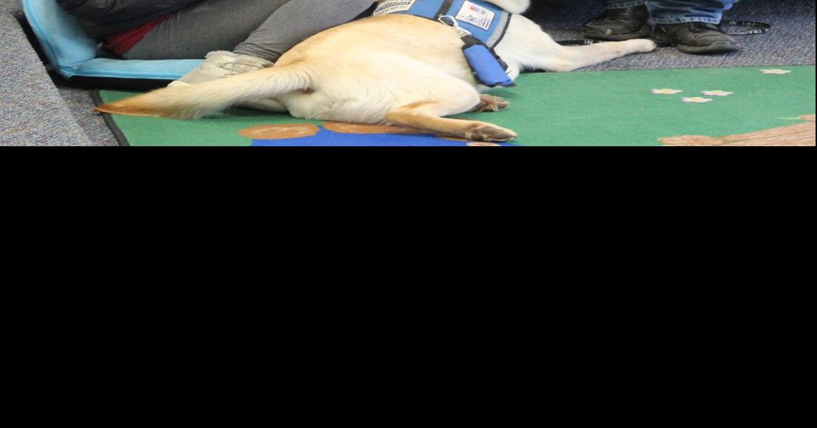 dogs-welcome-young-readers-at-twin-falls-library