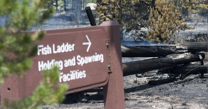 UPDATED: 300-acre Fire at Redfish Lake Forces Evacuations