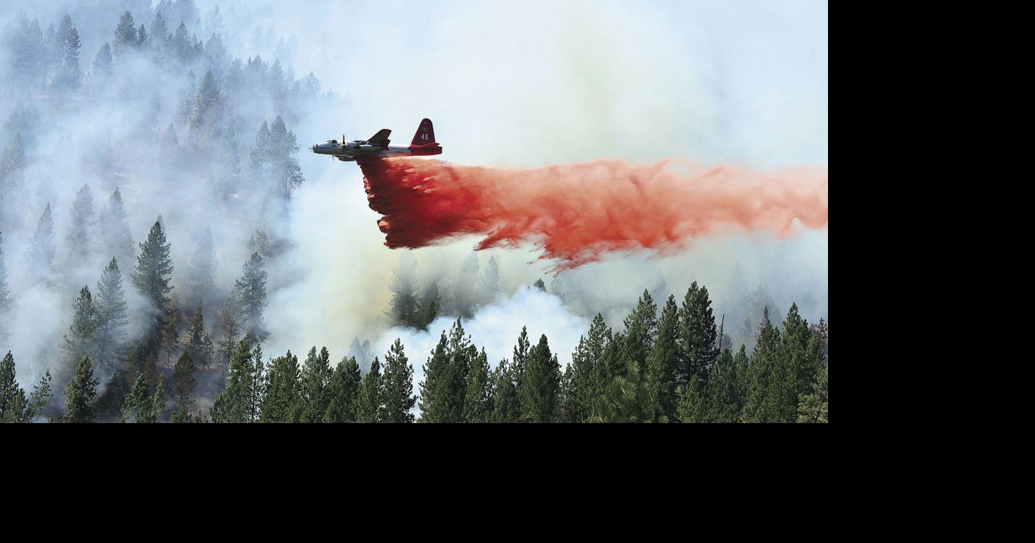 Forests Face More Fire, Insects, Disease as Climate Warms