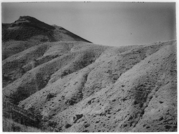 Gallery: Meet Malm Gulch - Idaho's Petrified Sequoia Forest
