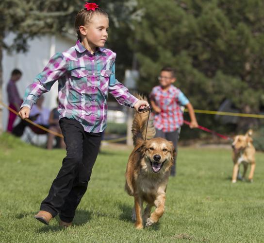 'Country Pride, Country Wide': Gooding County Fair and Rodeo starts ...