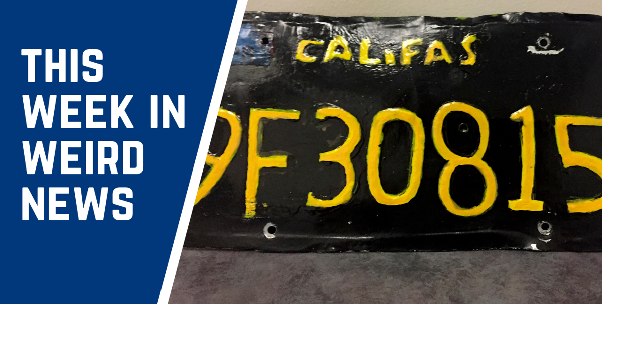 Badly made fake license plate leads to arrest, and more of this week's ...
