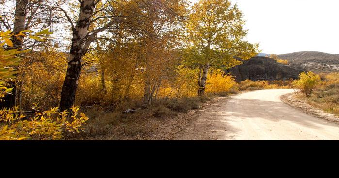 Castle Rock Road Fall Colors