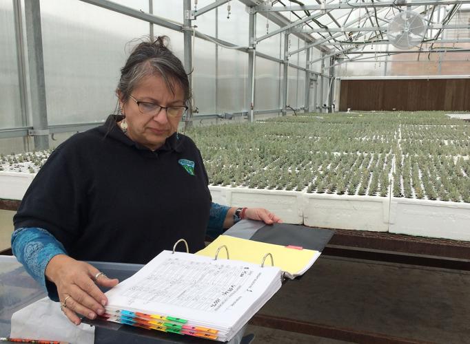 Duck Valley native plant program branches out
