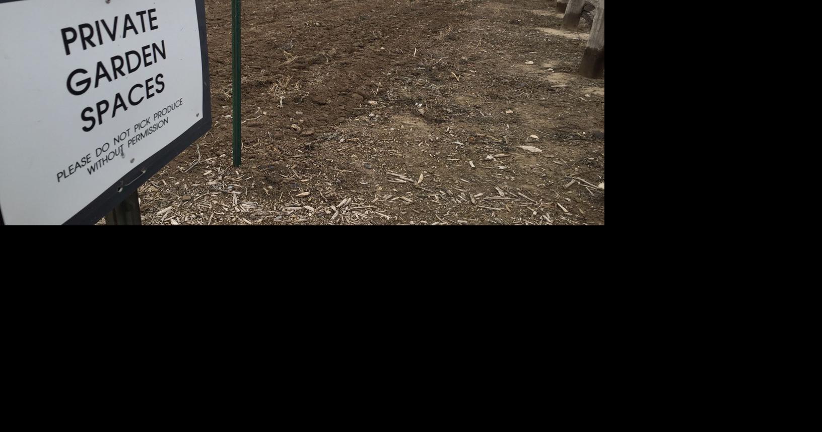 CSI Garden Spots Still Available