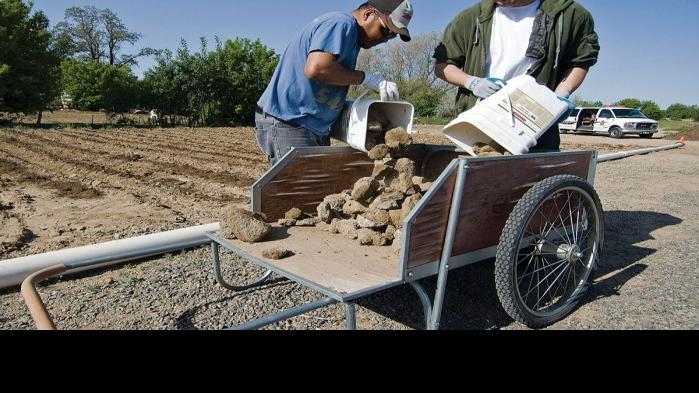 Convicted Criminals Give Back through Community Service Sentences ...