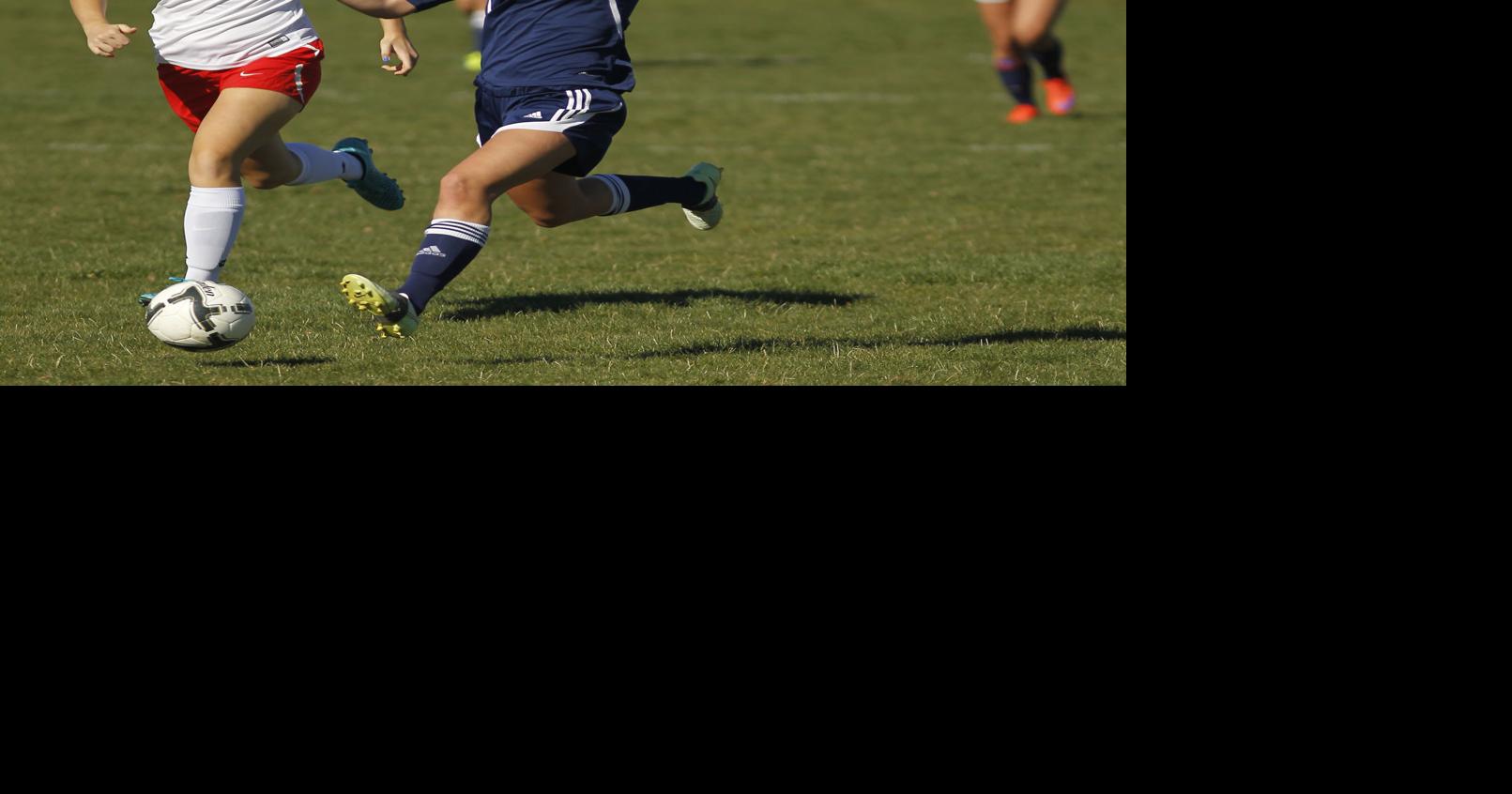 Lily Fitzgerald, Times-News girls soccer player of the year, finished ...