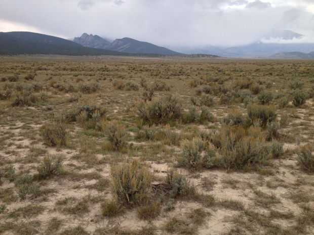 BLOG: Almo Creek Massacre: Did It Really Happen?