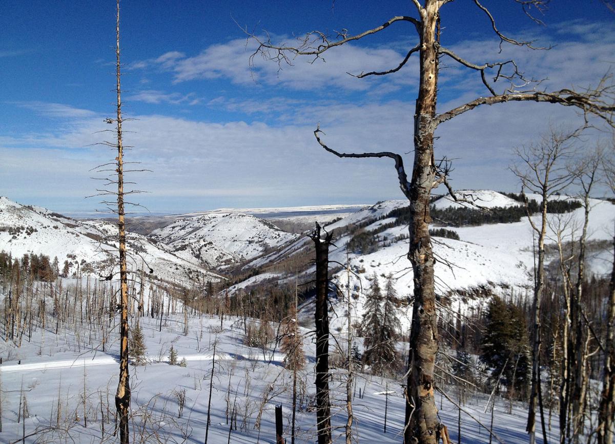 Gallery: The Magnificent Elk Basin Trail | Outdoors and Recreation ...