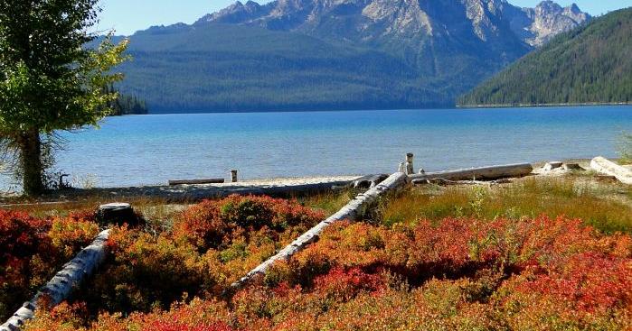 Forest Fire Near Redfish Lake