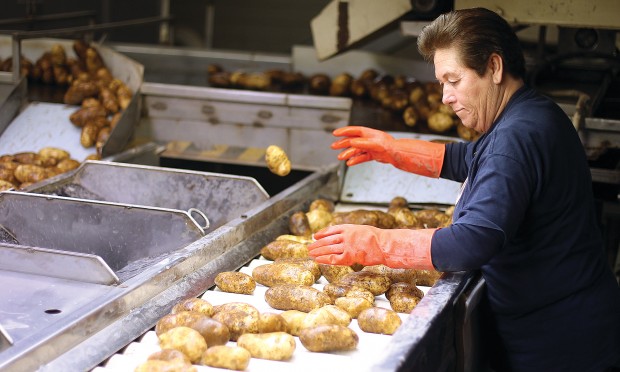 Arrowhead Potato Co. To Improve Traceability of Spuds from Field to Store