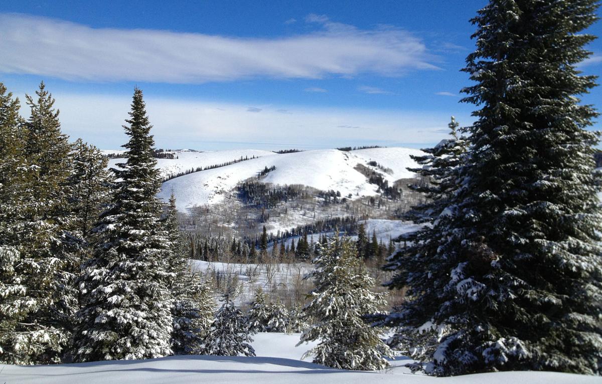 Gallery: The Magnificent Elk Basin Trail