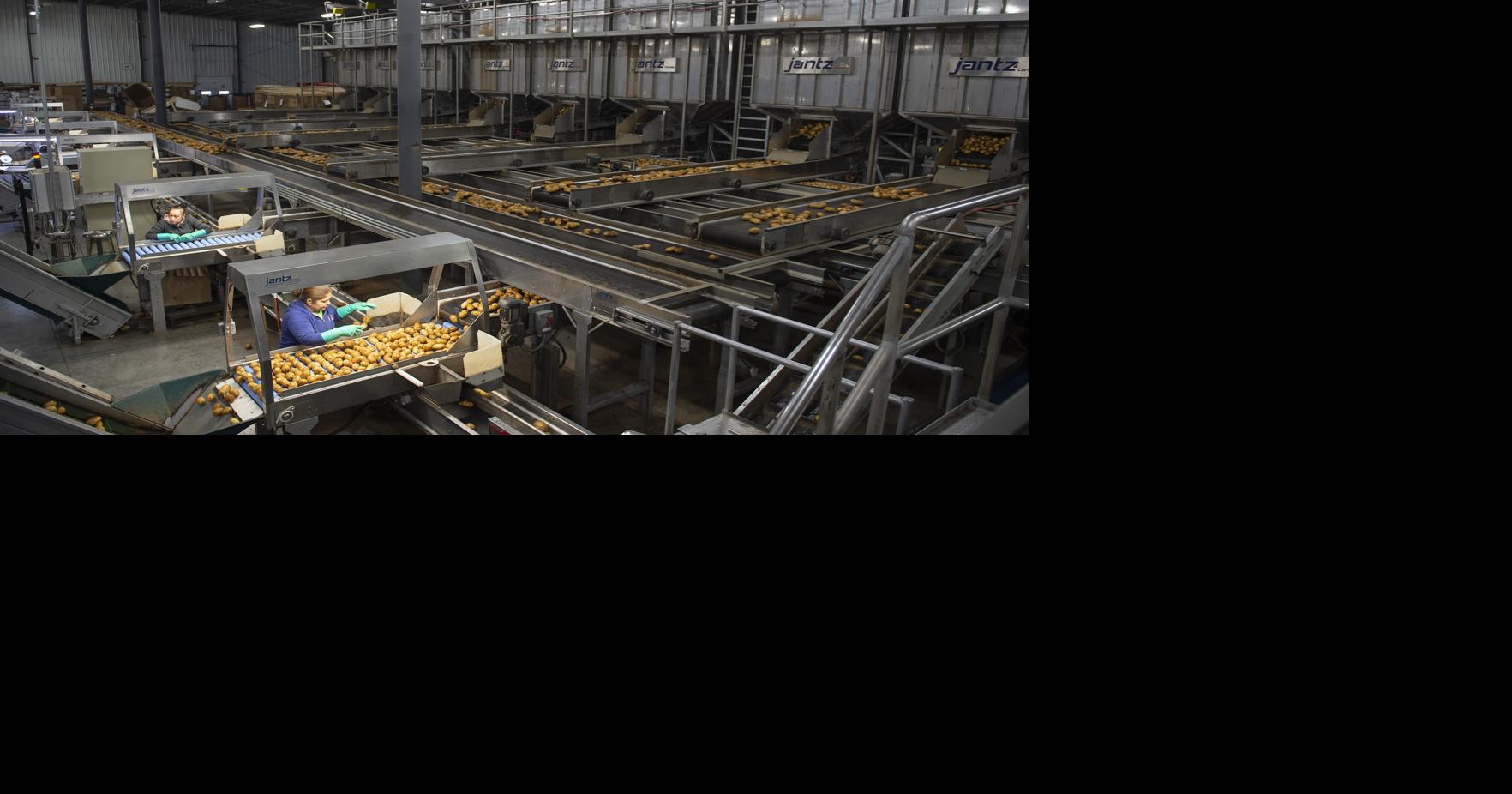 Mart Produce keeps added value from potato crops at home