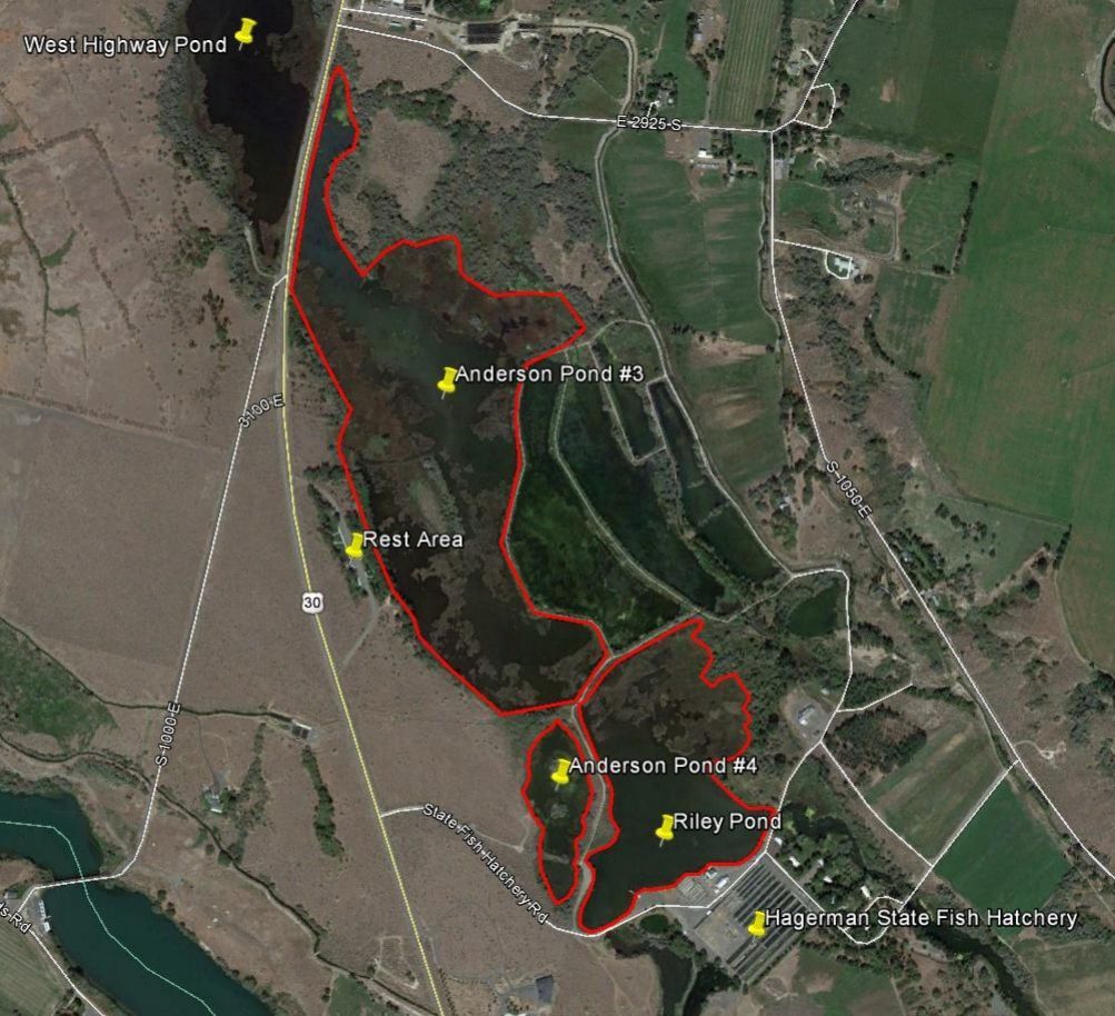 Salvage Order Issued for Hagerman Ponds