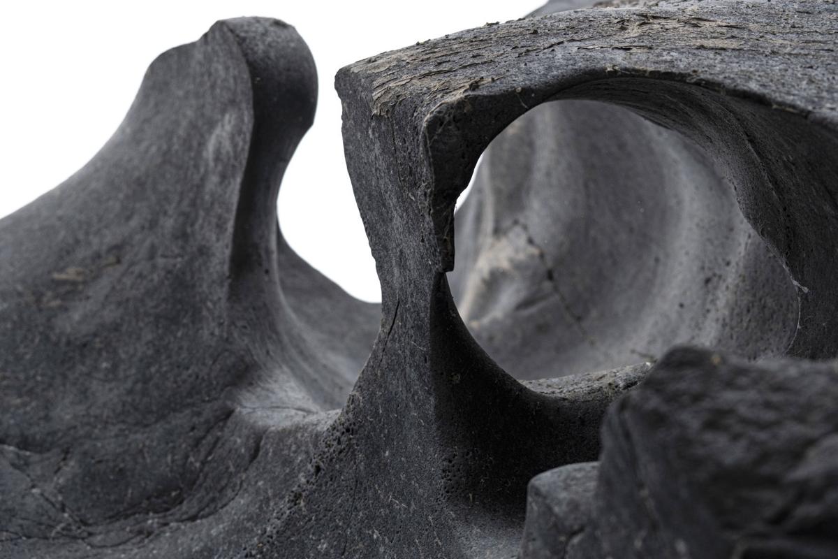 Out and About: Into a bedrock of basalt