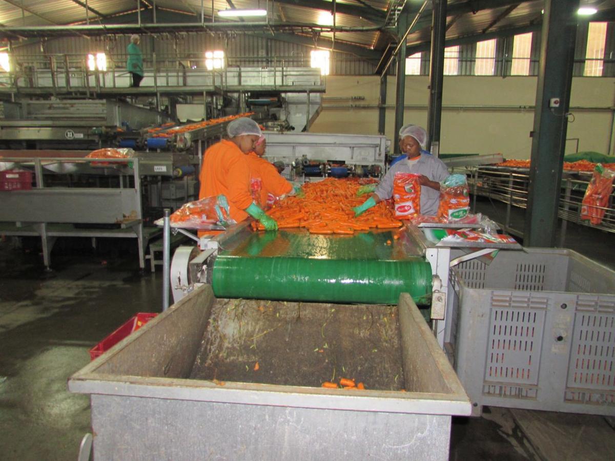 Vertical processing focus pays off | Southern Idaho Agriculture News ...