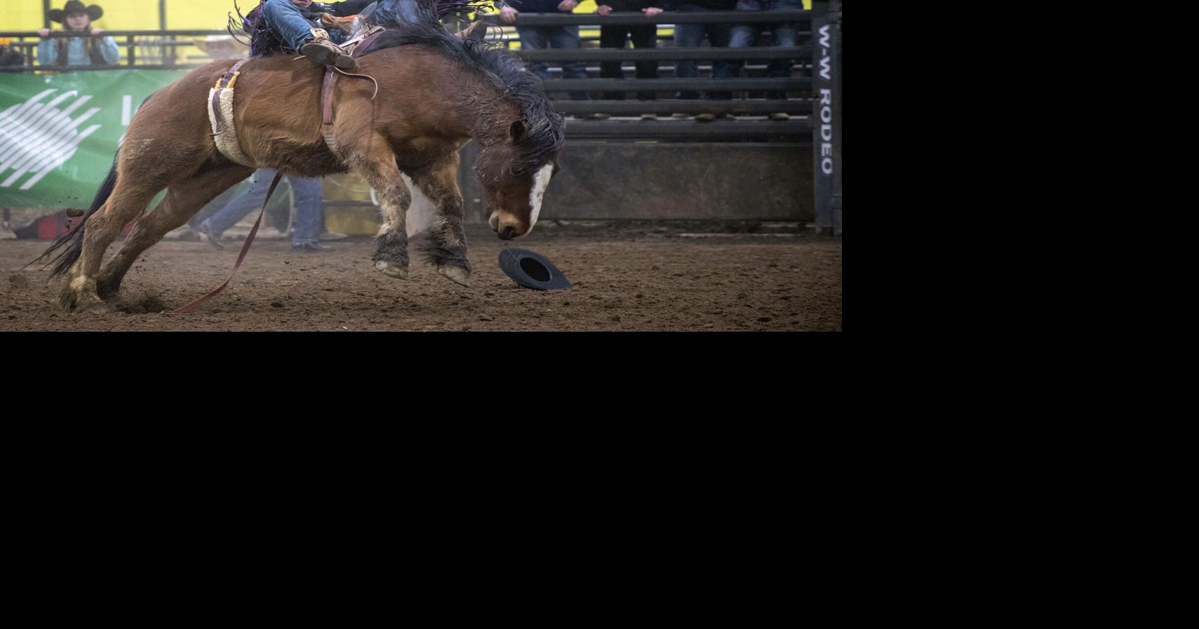 CSI's Allen set for home rodeo after hernia surgery