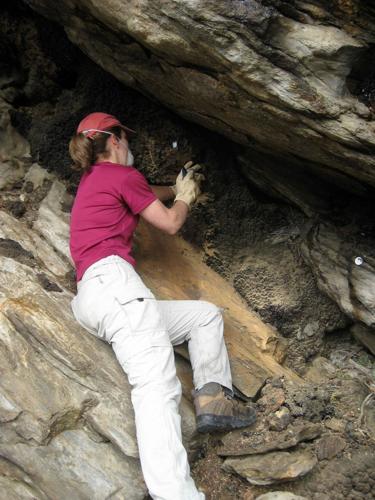 Tapping into the pack rat time machine: Rodents at City of Rocks leave ...