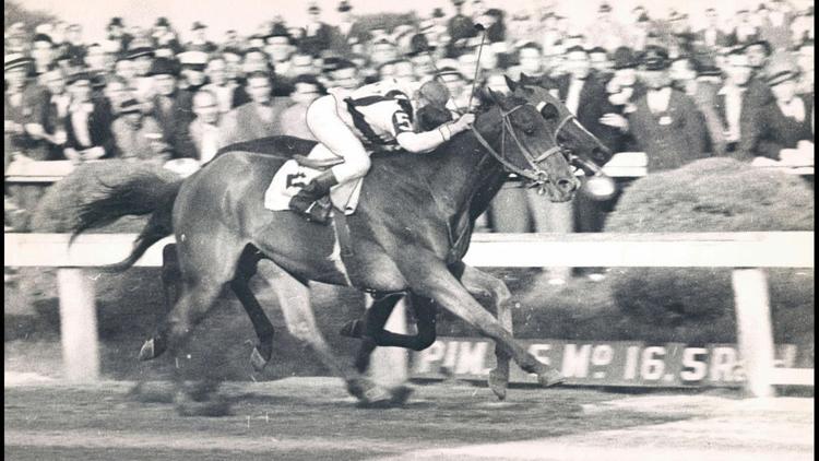 Horse racing faces more flak after footage of jockey posing on dead ...