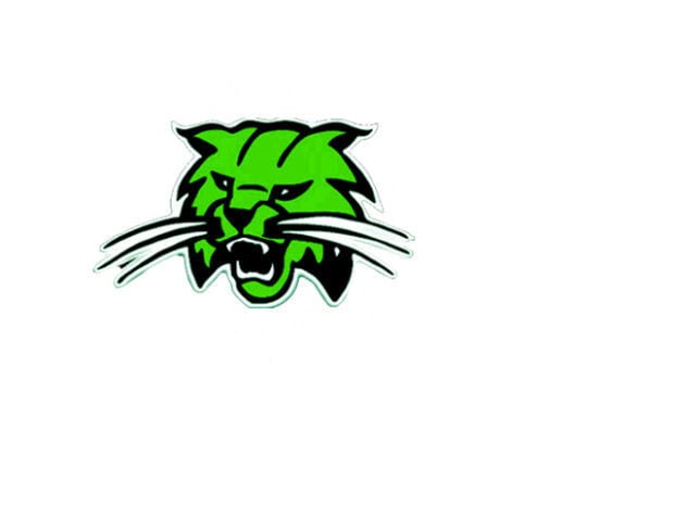 Burley Bobcats