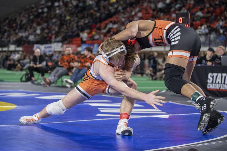 Buhl's Brunson twins sign with DIII Wartburg College