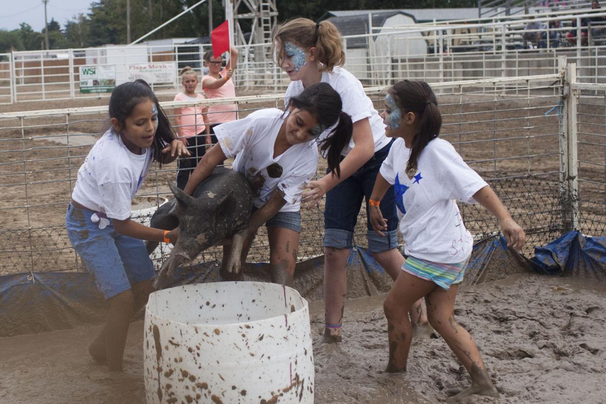 Though The Game Has Changed Pig Wrestling Brings Same Excitement though-the-game-has-changed-pig-wrestling-brings-same-excitement