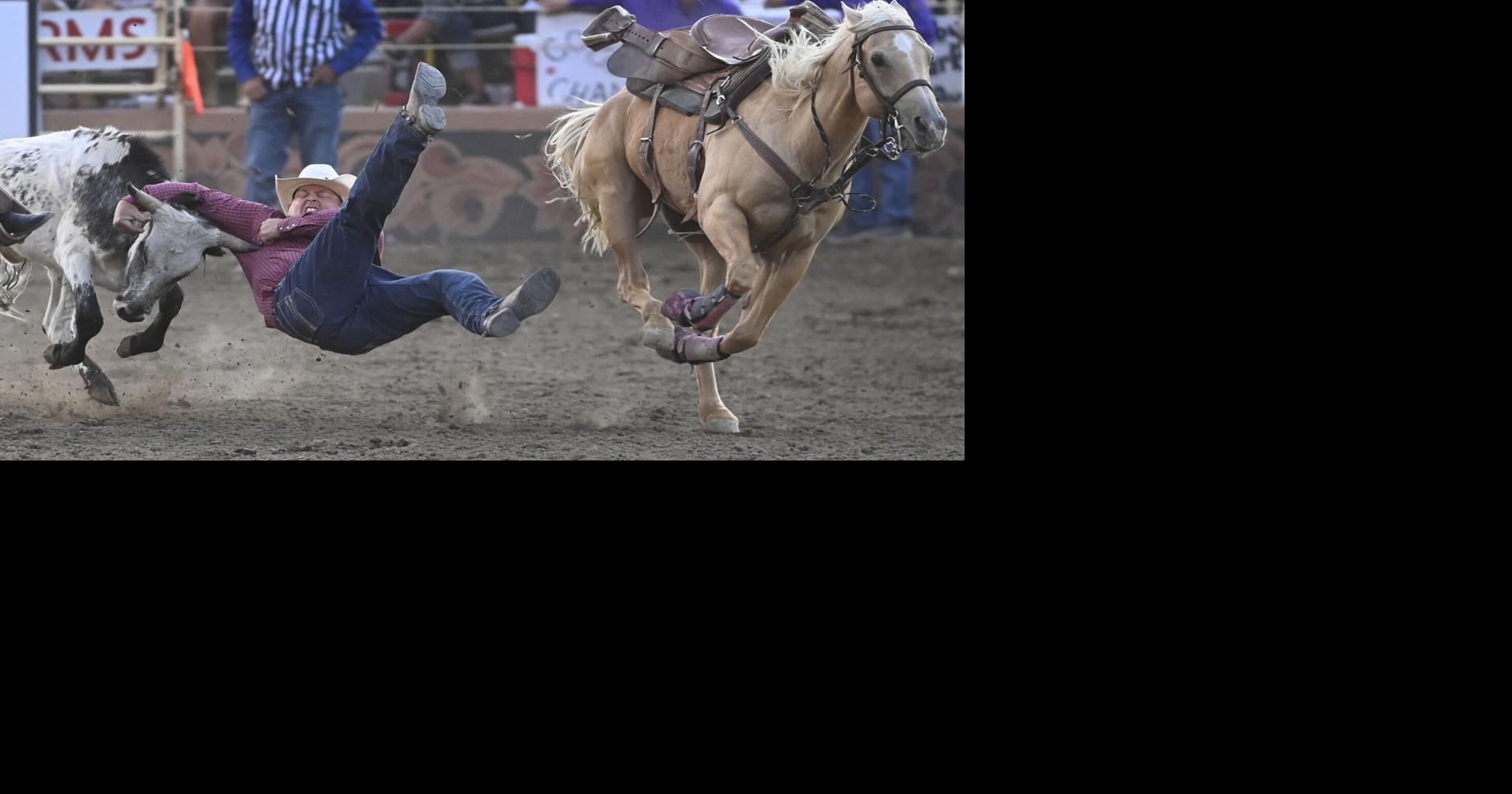 Gooding Pro Rodeo | Photos