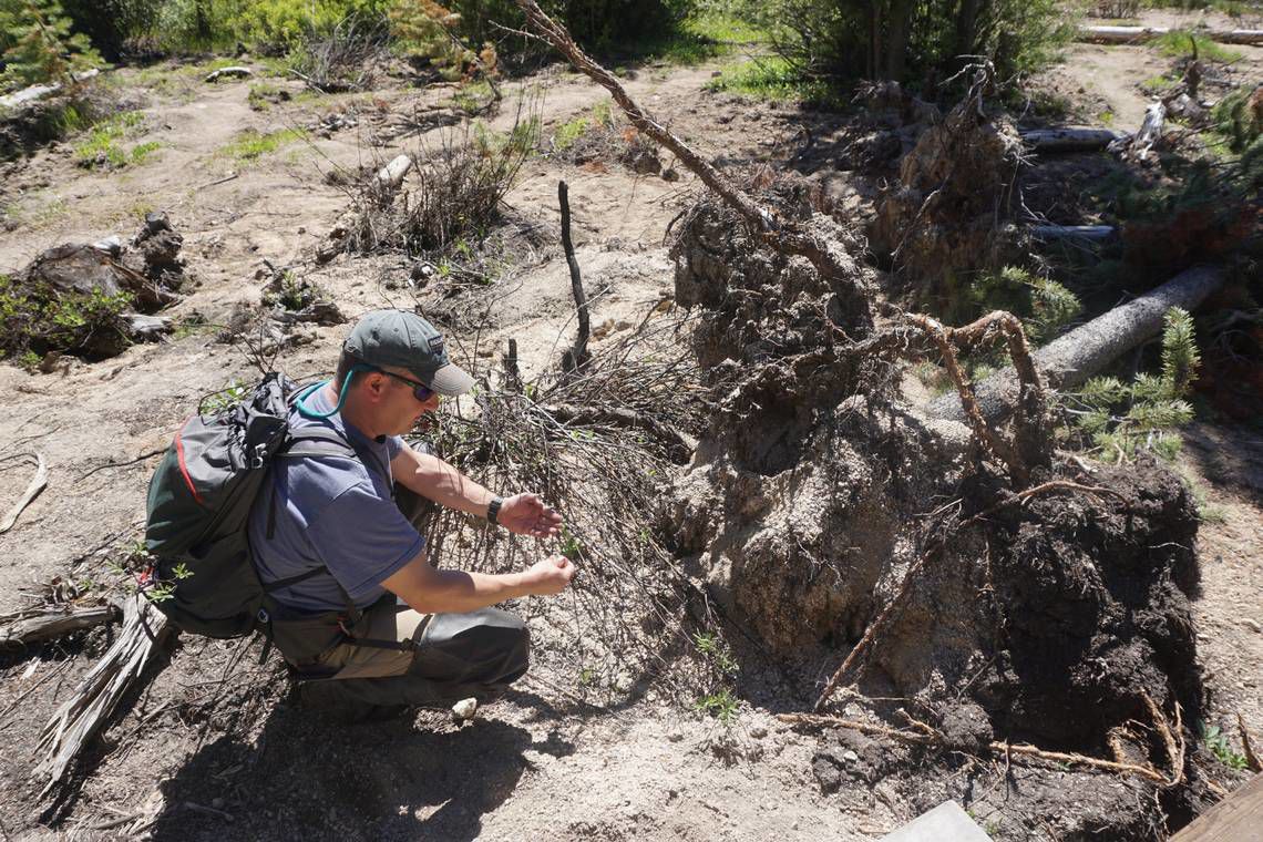Idaho started shaking March 31. Why hasn’t it stopped? Geologists ...