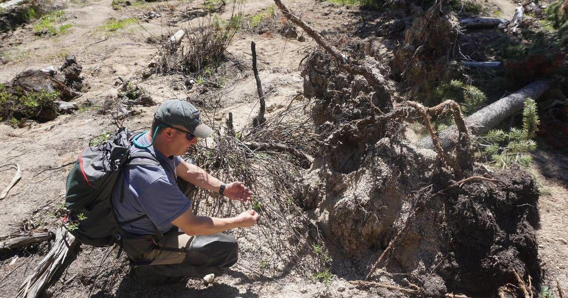 Idaho started shaking March 31. Why hasn’t it stopped? Geologists ...