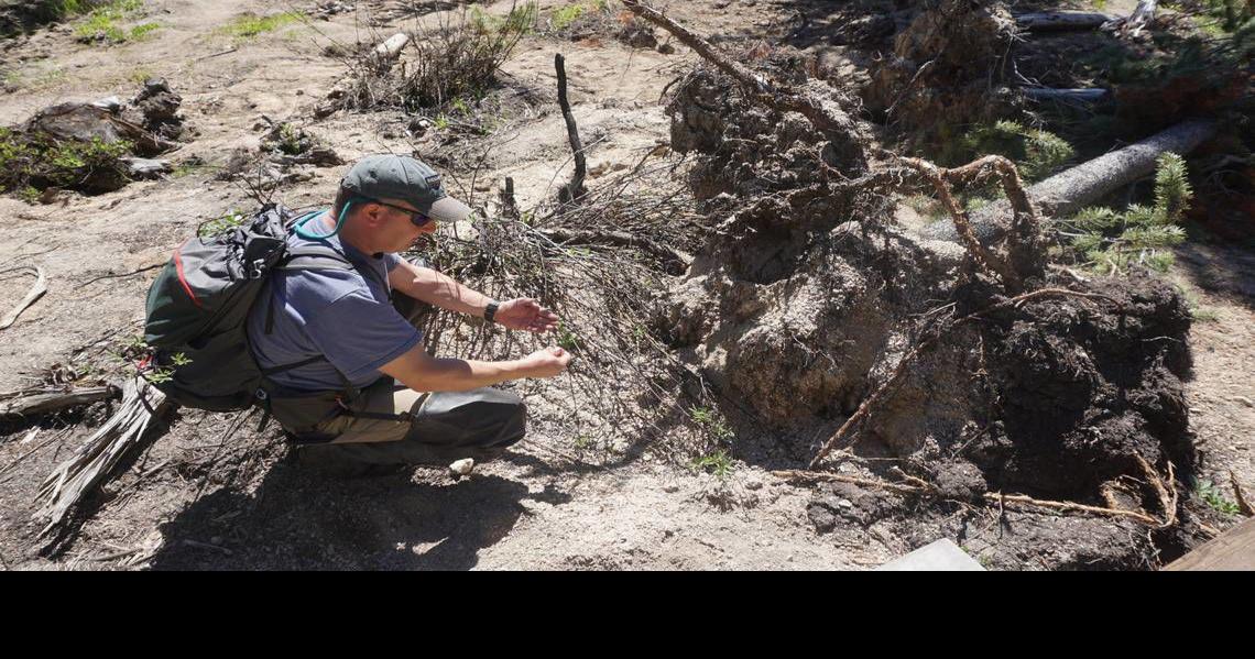 Idaho started shaking March 31. Why hasn’t it stopped? Geologists ...