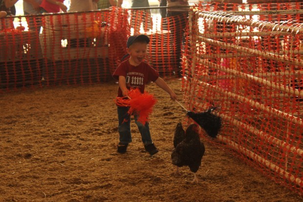 Chicken Chasin' at the Gooding County Fair