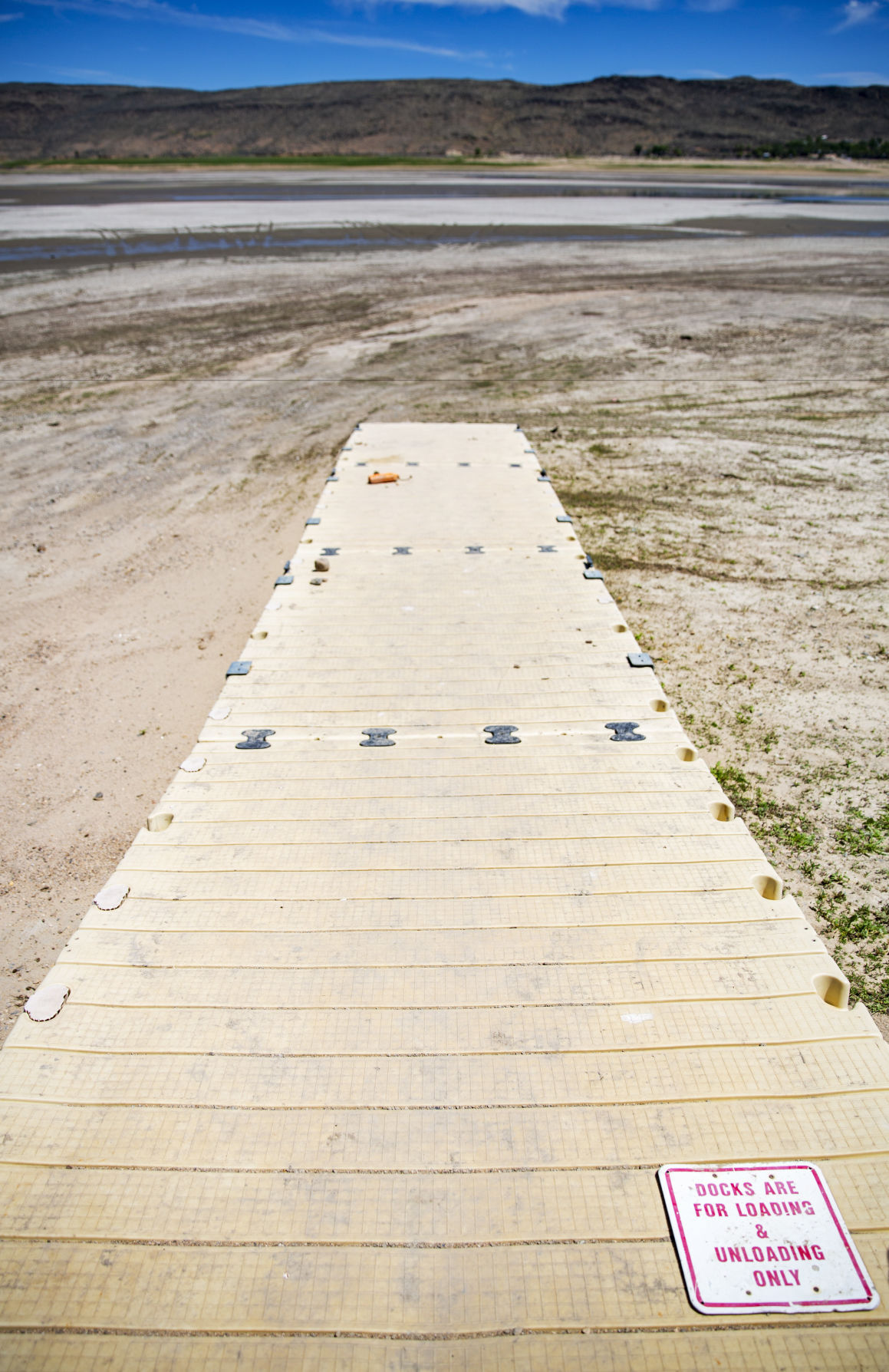 fish salvage is starting - 24hourcampfire